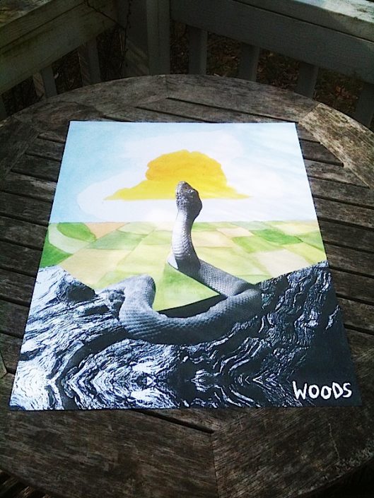 WOODS – Bend Beyond Poster – Woodsist